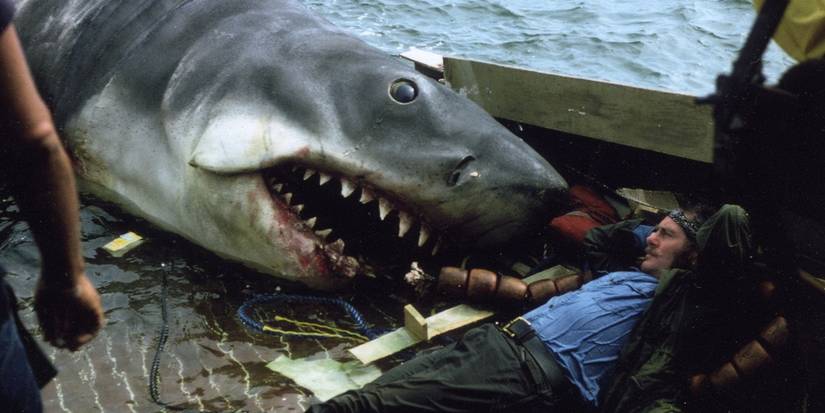 10 Best 1970s Best Picture Nominees, According to Rotten Tomatoes