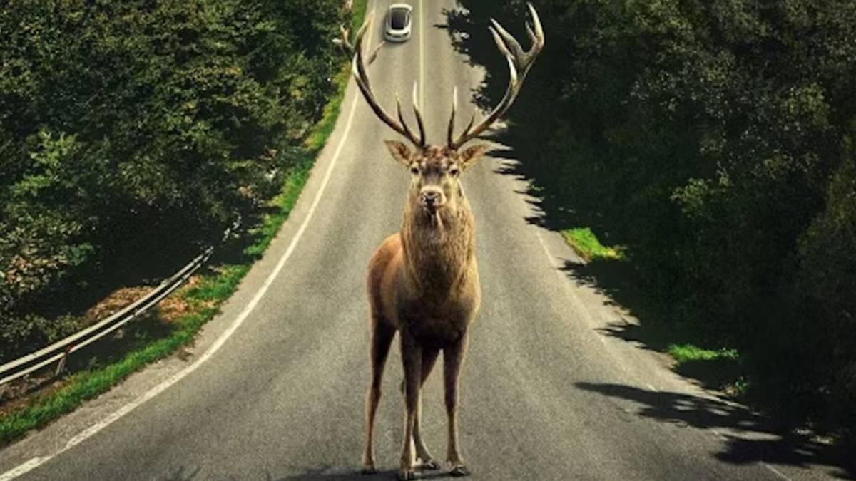 'Leave the World Behind's Freaky Deer Have a Deeper Meaning