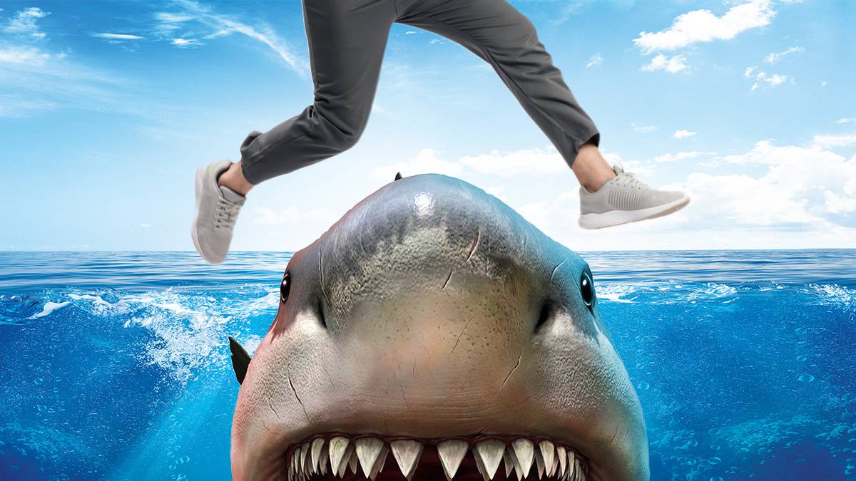 Your Favorite TV Shows "Jumped the Shark," But What Does That Mean?