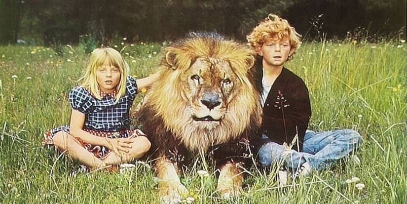 “The Greatest Lion That Ever Lived” Almost Killed Jodie Foster