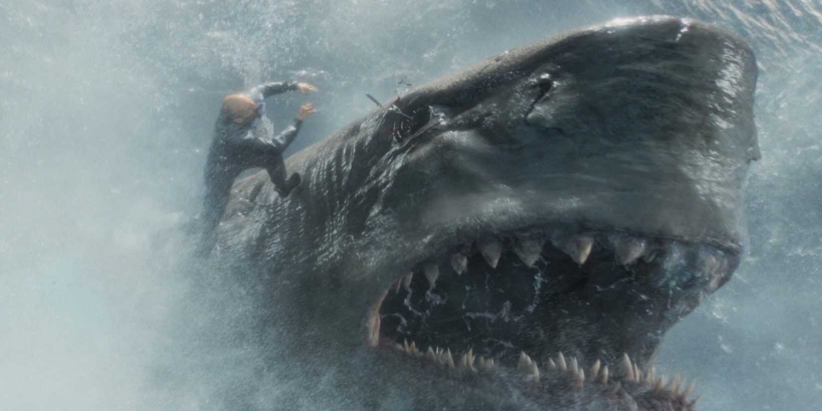 10 Greatest Shark Movies of the Last 50 Years, Ranked