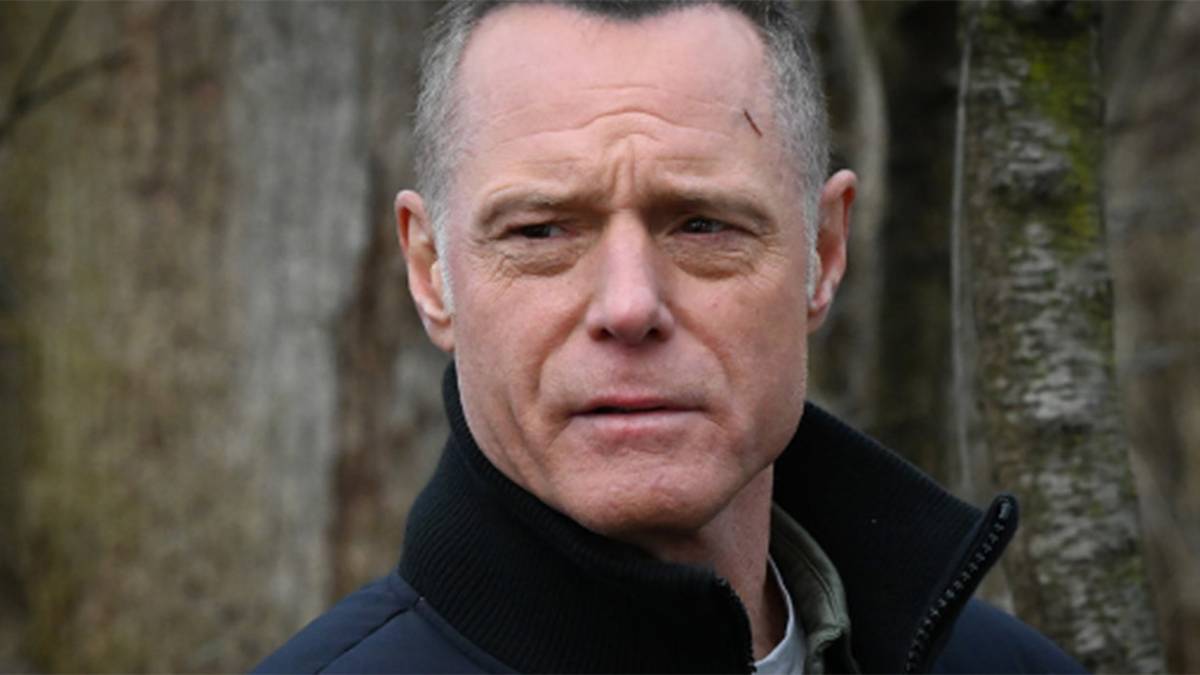 Is This Fan-Favorite Coming Back to ‘Chicago P.D.’? Jason Beghe ...