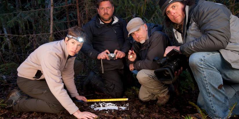10 Best Guilty Pleasure Reality TV Shows