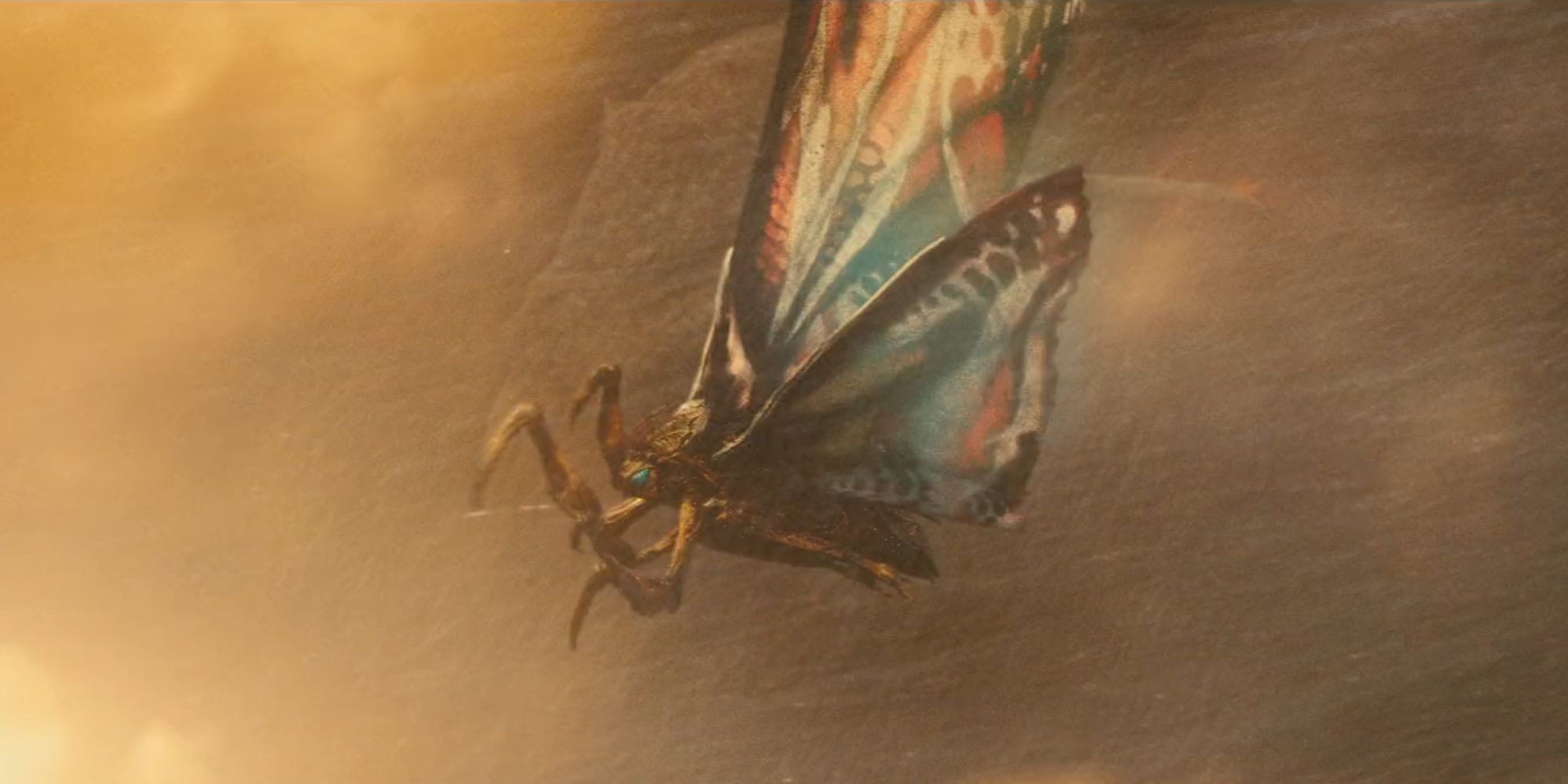 Godzilla Mothra Kjærlighet Mothra Emerges From Her Cocoon | Godzilla
