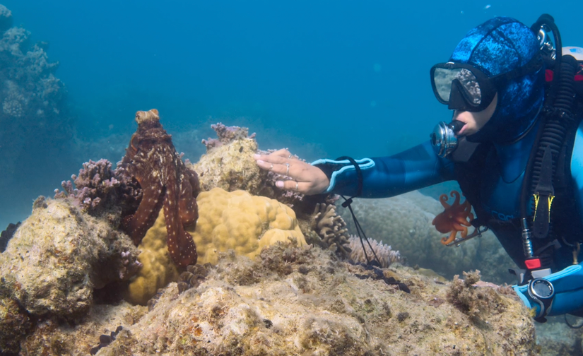 James Cameron’s Octopus Documentary Explores the Deep in New Sneak Peek