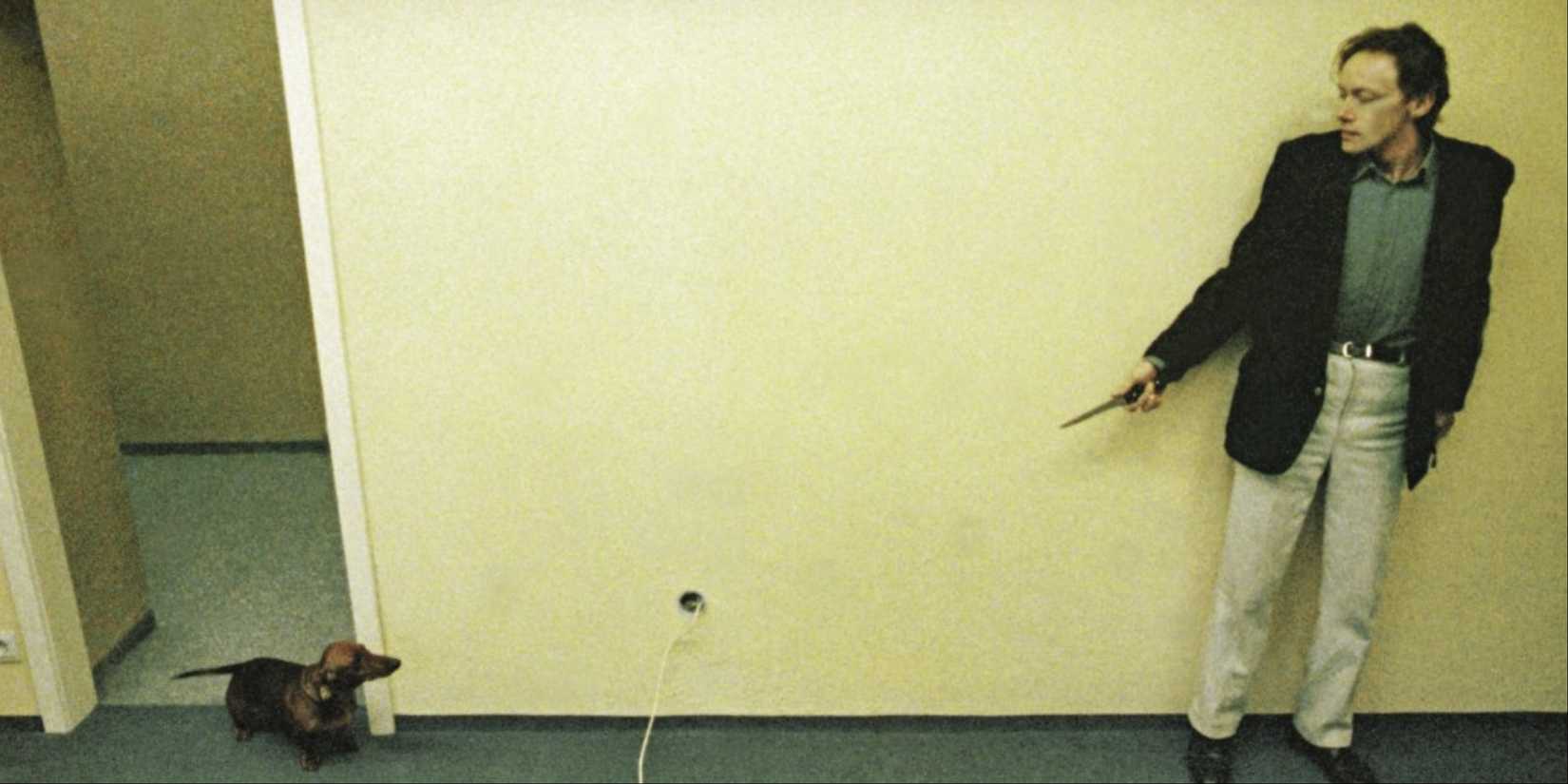 10 Best Cult Classic Horror Movies, Ranked