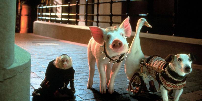 All 11 George Miller Movies, Ranked by Rewatchability