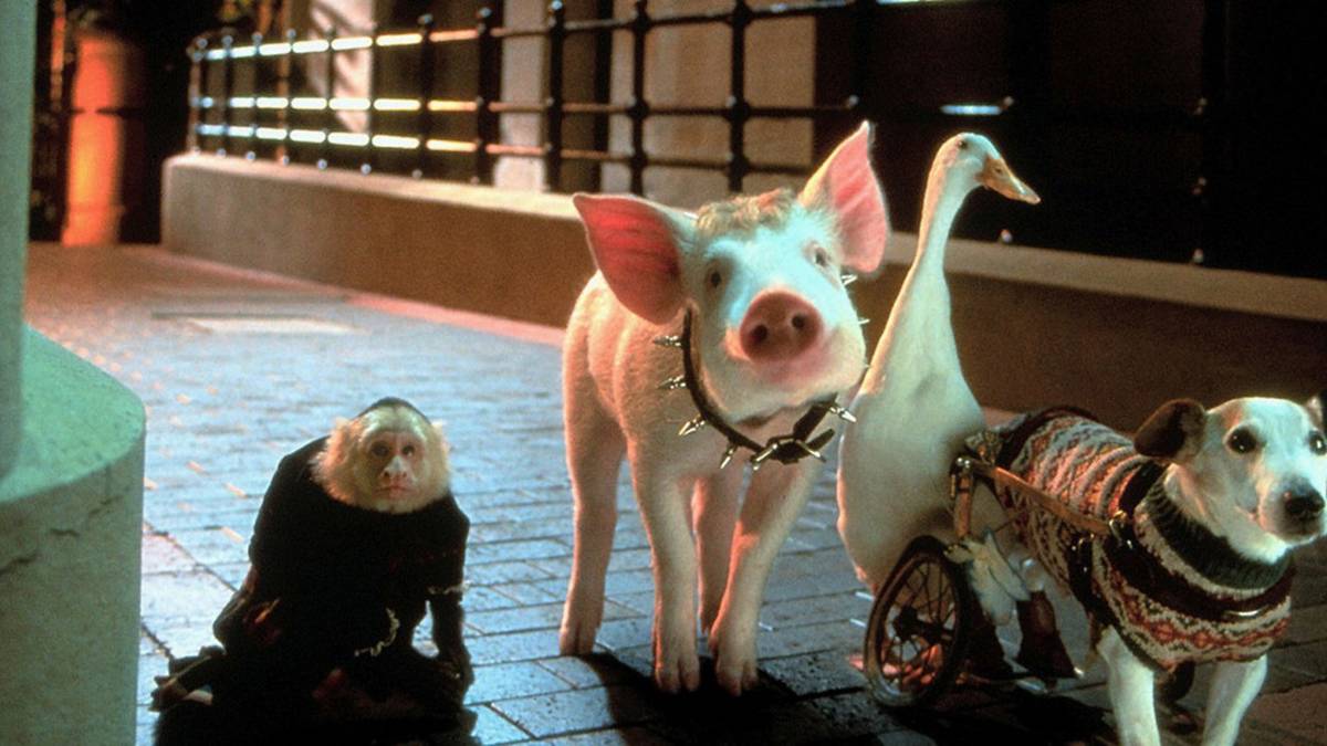 You Probably Haven't Seen These 10 Fantasy Movies From the '90s — You ...