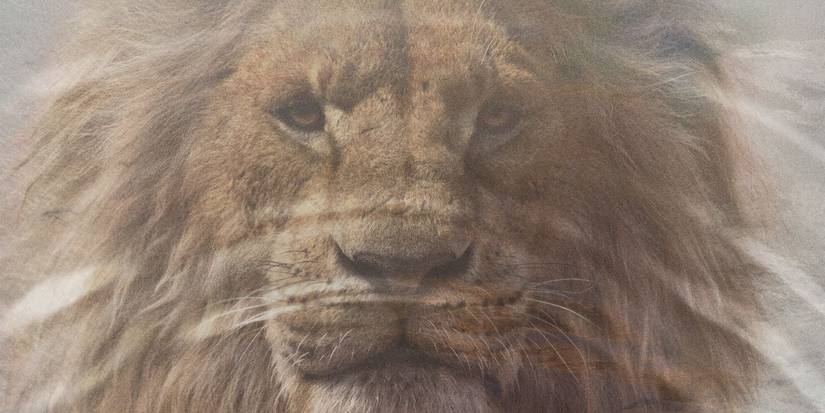 Mufasa The Lion King - What You Need To Know About the Prequel