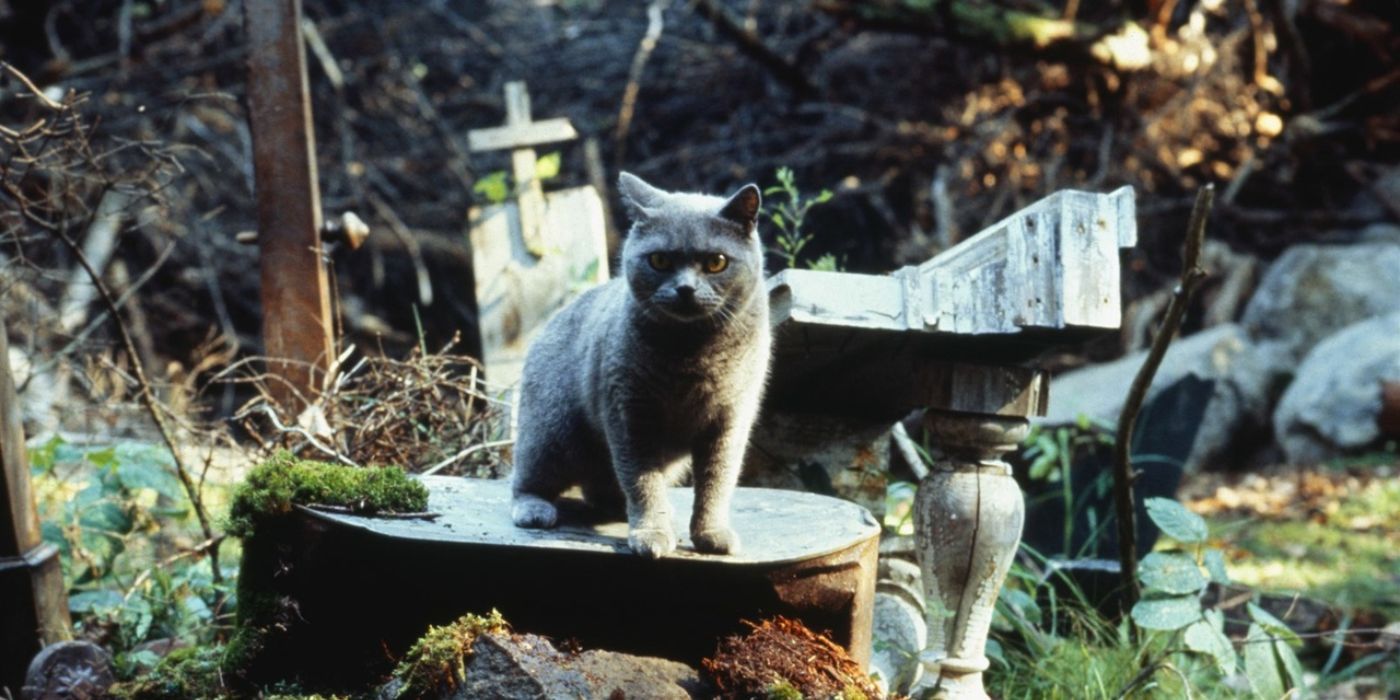 Why is Pet Sematary Misspelled? Stephen King's Iconic Title, Explained