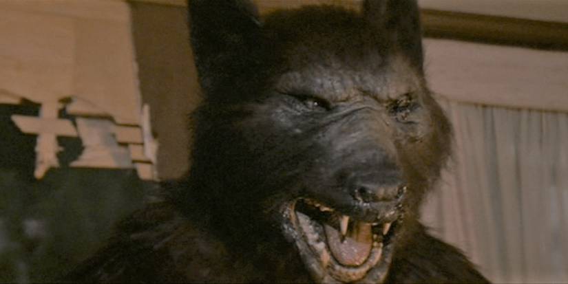 10 Scariest Werewolf Movies, Ranked