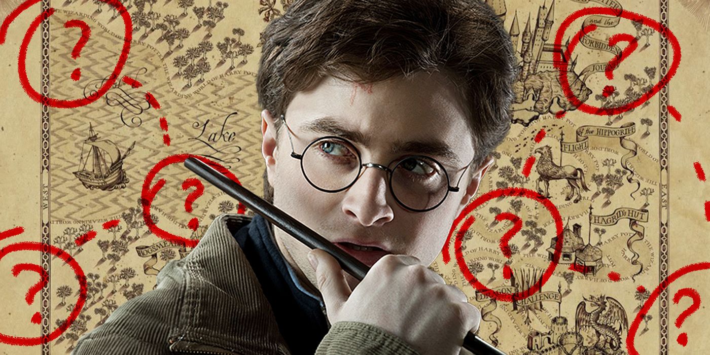 Harry Potter De Rhys Ifan