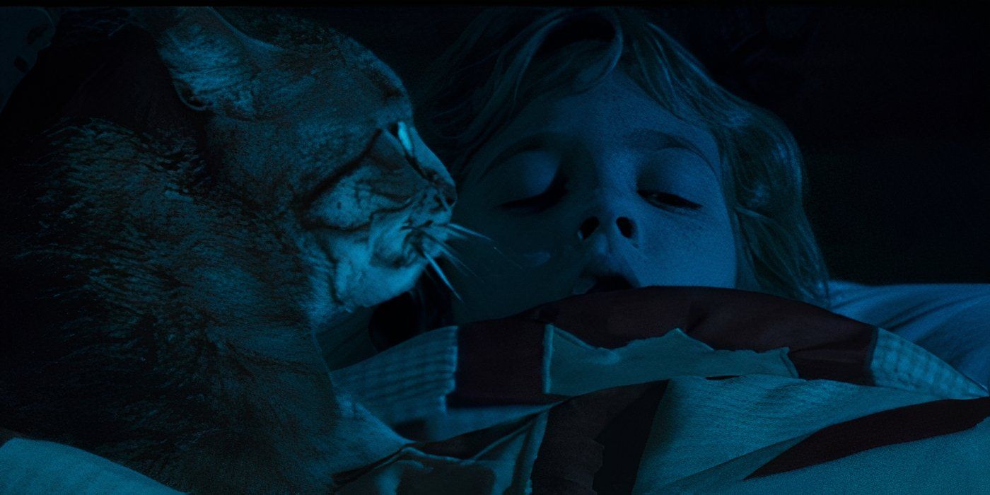 Looking Back Stephen Kings Cats Eye One Remarkable Film