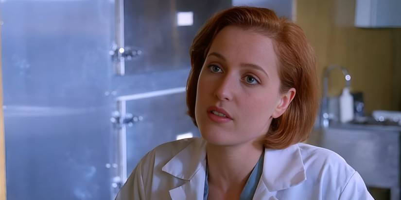 10 Best Gillian Anderson TV Shows, Ranked