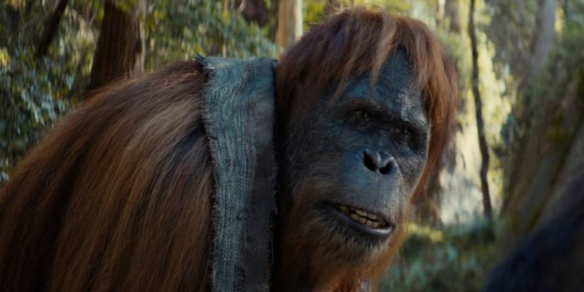 10 Best CGI Movie Apes, Ranked