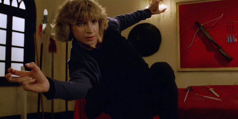 Cynthia Rothrock's 10 Best Movies, Ranked