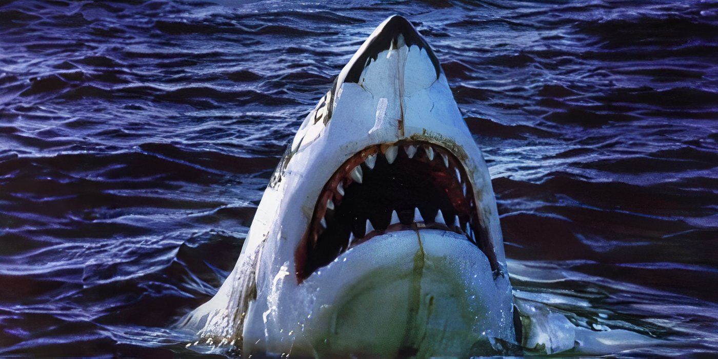 This 2010s Survival Horror May Be the Most Effective Shark Thriller ...