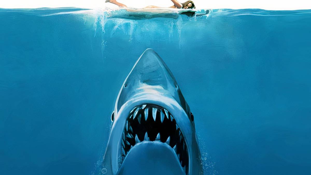 10 Greatest Shark Movies of the Last 50 Years, Ranked