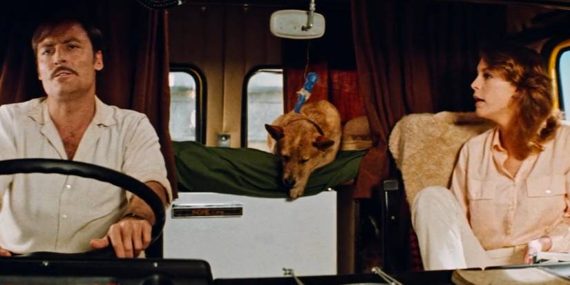 'Mad Max' Meets Hitchcock in This Australian Grindhouse Classic