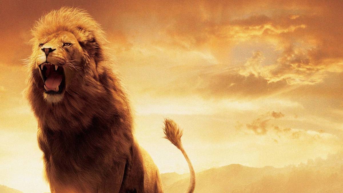Narnia Lion Photos The Chronicles Of Narnia: The Lion, The Witch & The