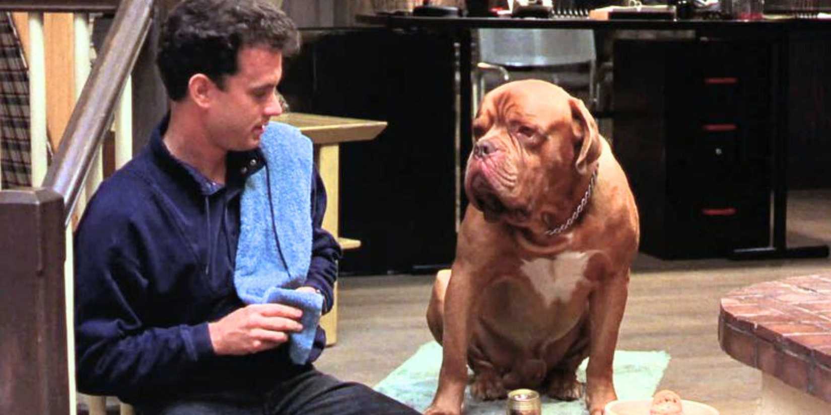 10 Best Dog Movies, Ranked