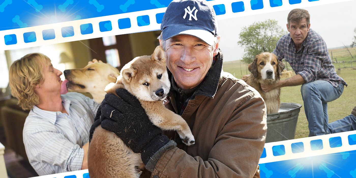10 Best Dog Movies, Ranked
