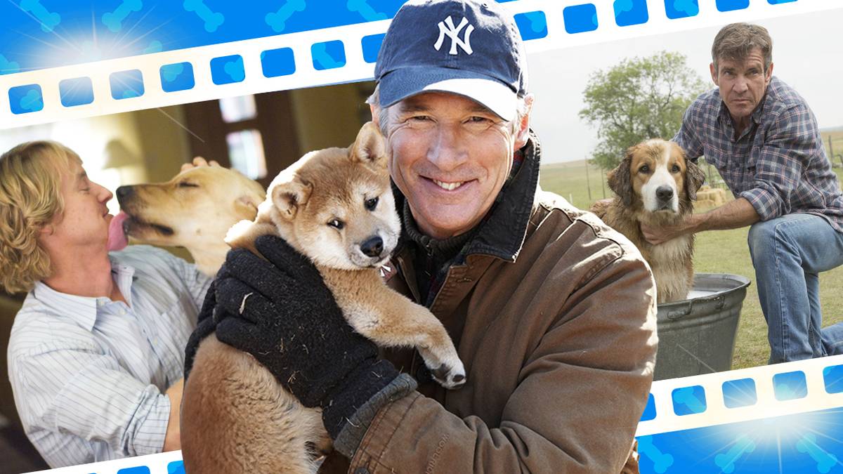 10 Best Dog Movies, Ranked