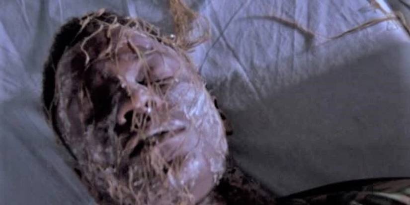 10 Most Underrated Horror Remakes, Ranked