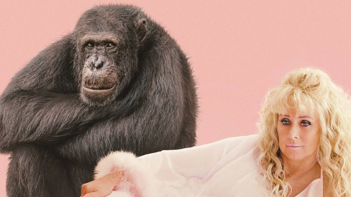 'Chimp Crazy' Makes 'Tiger King' Look Tame