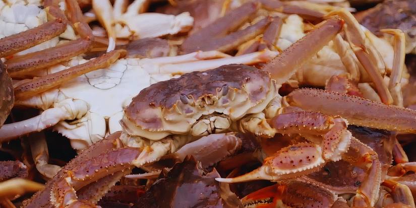What Happened to ‘Deadliest Catch’s Edgar Hansen? The Quietly Shocking ...
