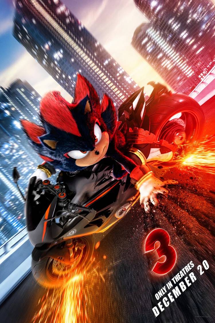 Shadow Is Ready to "Live and Learn" in a New 'Sonic the Hedgehog 3' Poster