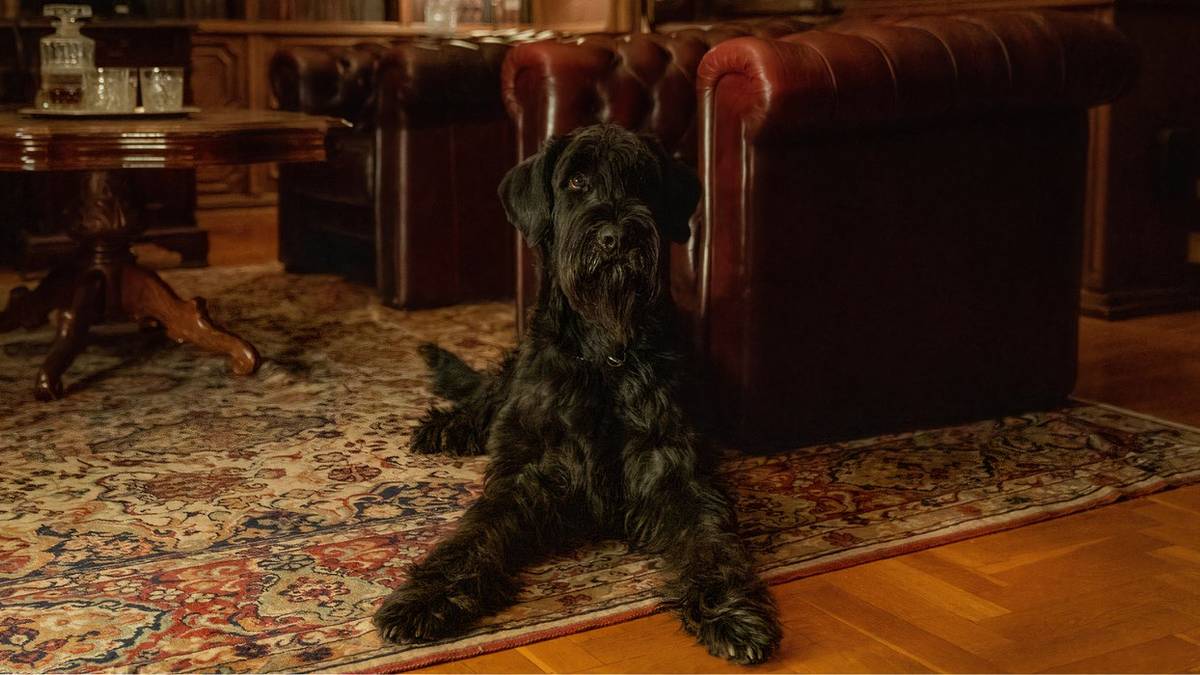 This Fan Favorite ‘FBI: International’ Character Will Be Back For Season 4