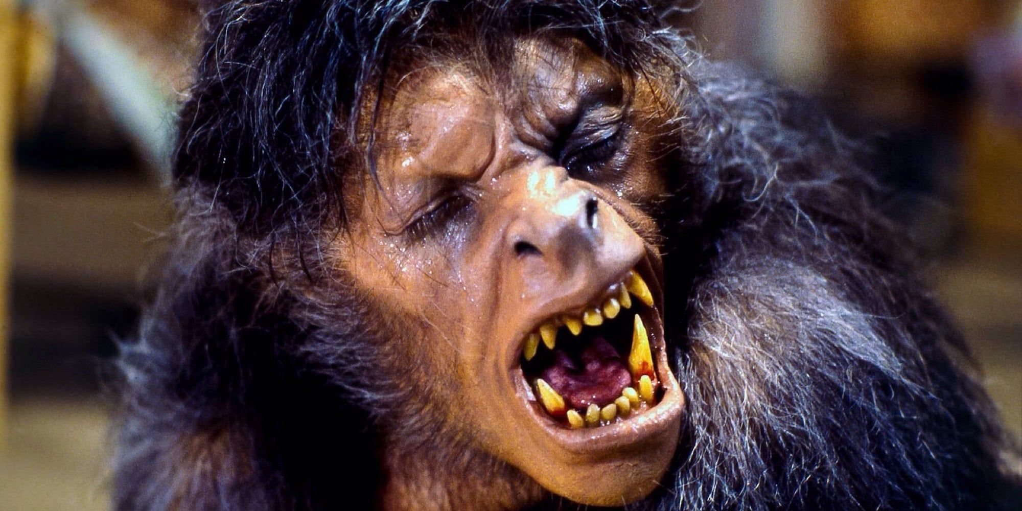 10 Scariest Werewolf Movies, Ranked