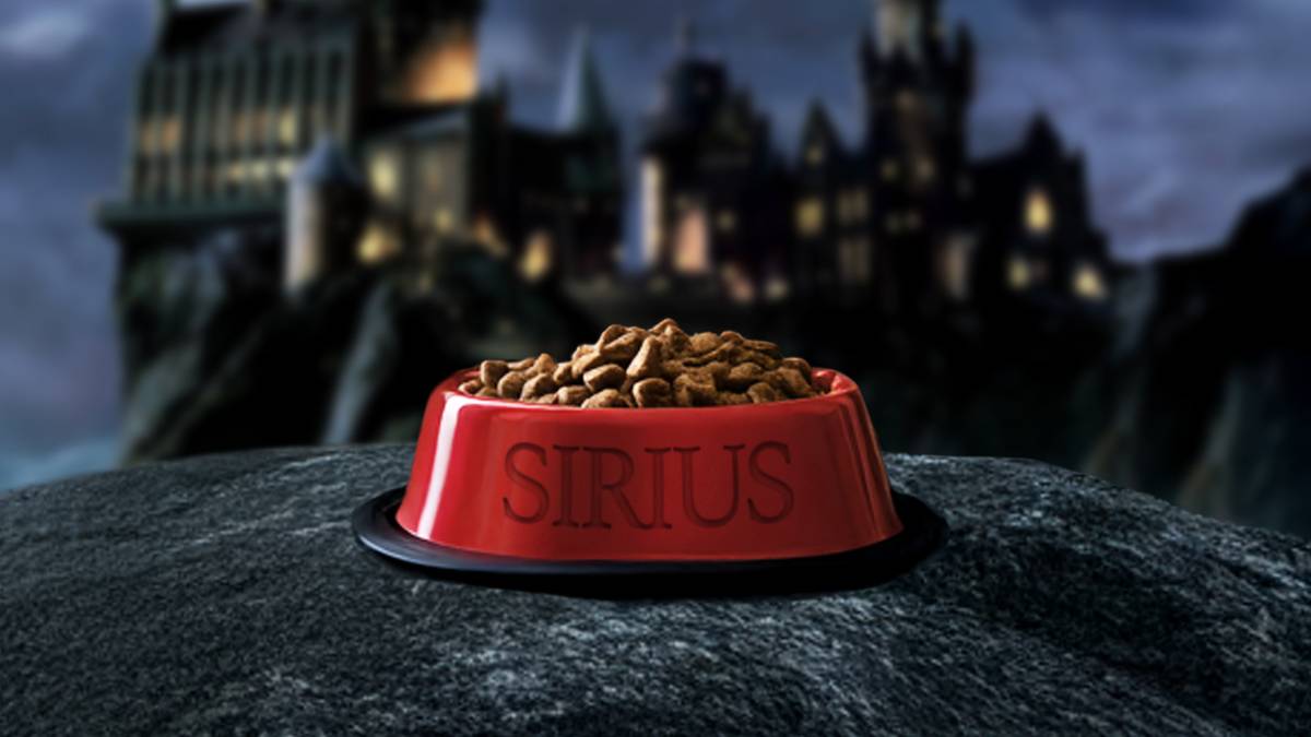 Every Named Animagus in Harry Potter Canon, Ranked