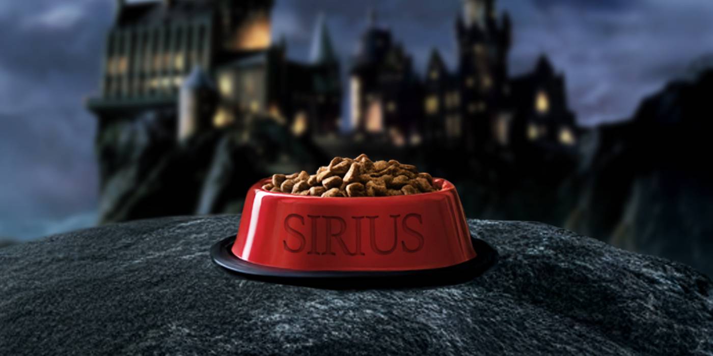 Every Named Animagus in Harry Potter Canon, Ranked