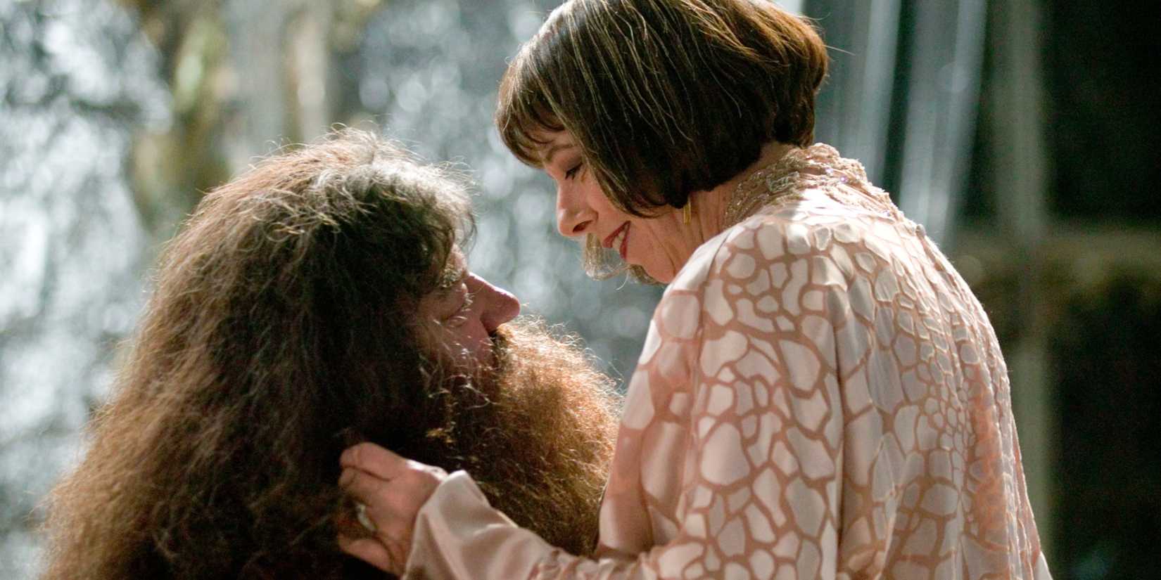 The Truth About Hagrid The Harry Potter Films Kept Hidden