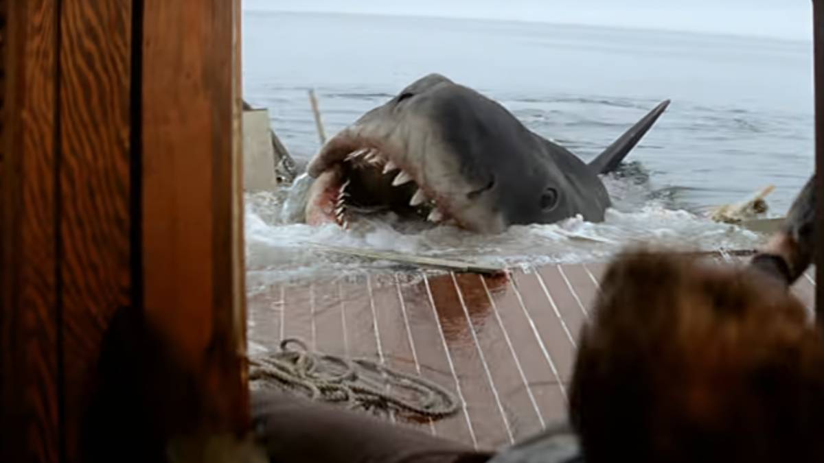 ‘Jaws’ Surfaces on 4K Ultra HD and Blu-ray to Celebrate Its 50th ...