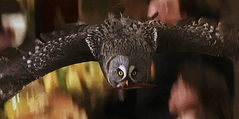 10 Best Pets in Harry Potter, Ranked