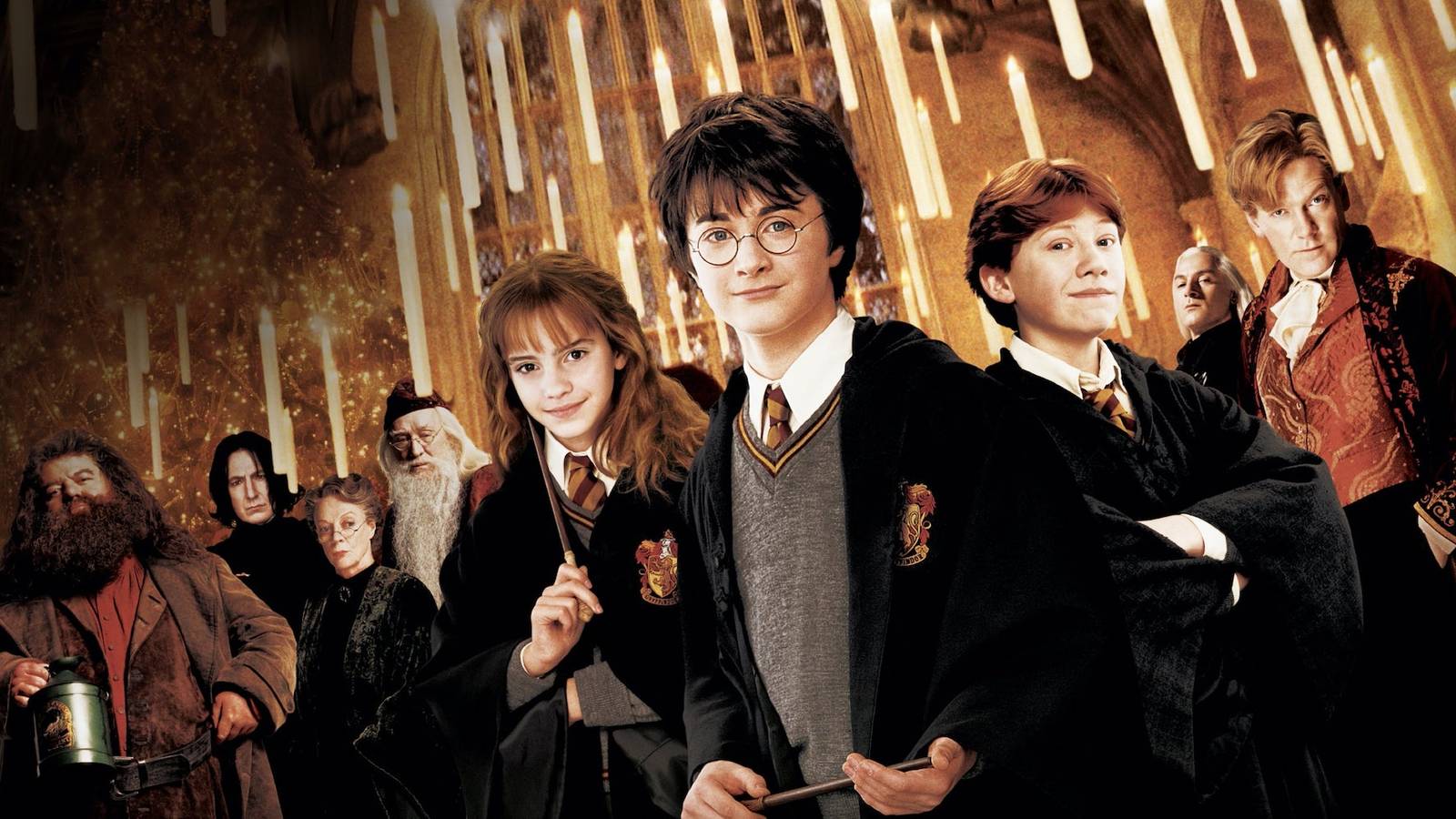 This $878 Million Harry Potter Sequel Joins the First Film on Streaming ...