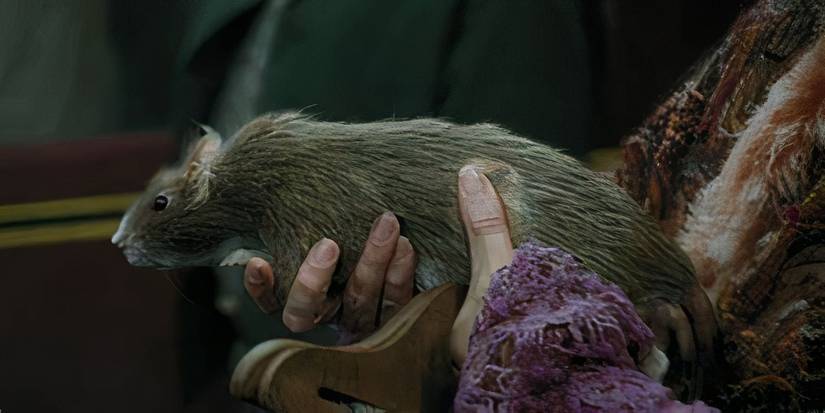 10 Best Pets in Harry Potter, Ranked