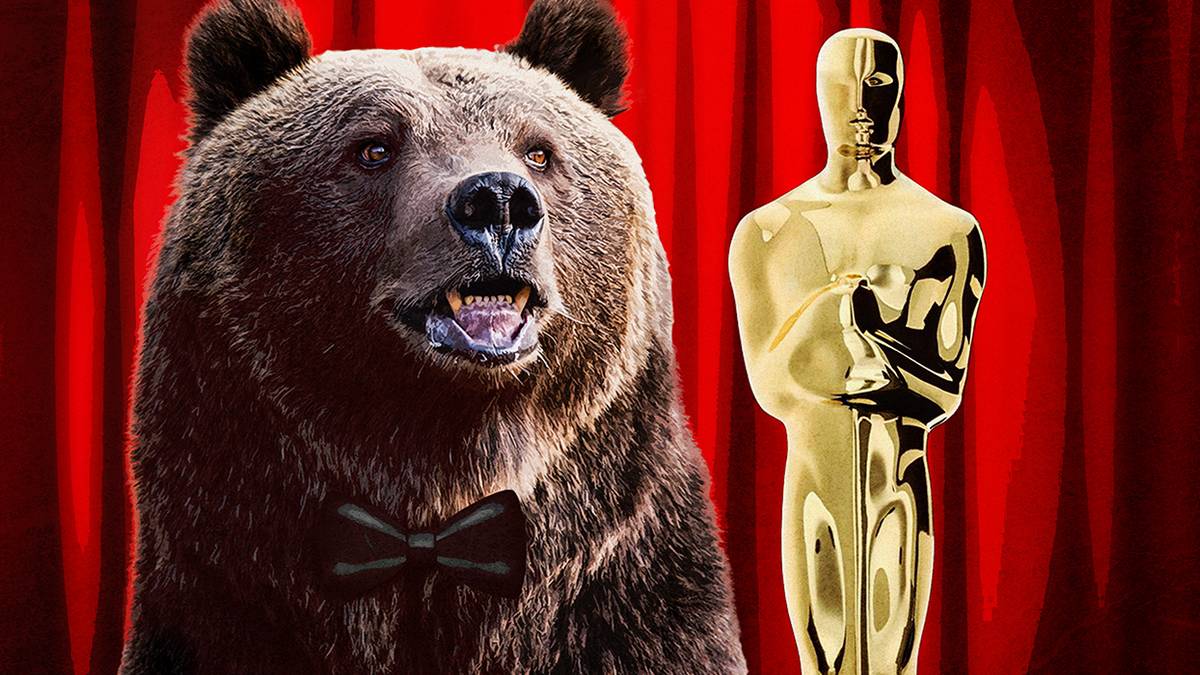 Once Upon a Time, People Wanted to Nominate an Actual Bear for an ...