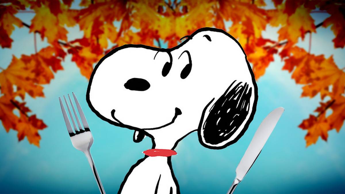 There’s Another ‘Peanuts’ Thanksgiving Special You Forgot About — and ...