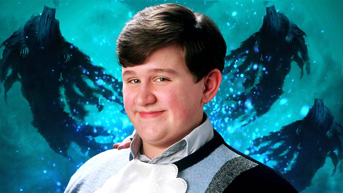 What Became of Dudley Dursley After the Harry Potter Series?