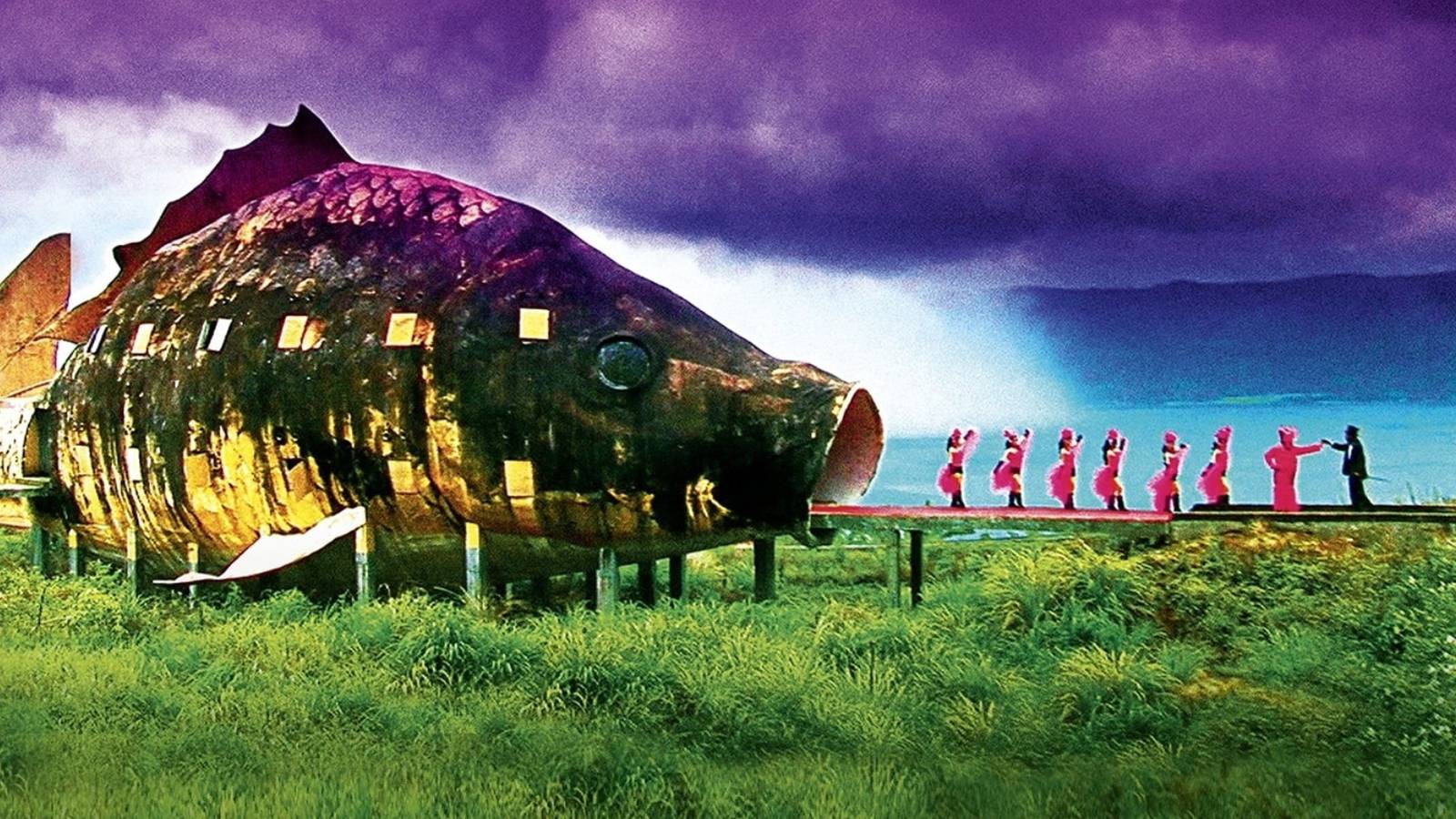 10 Best Documentaries of the Last 25 Years, Ranked