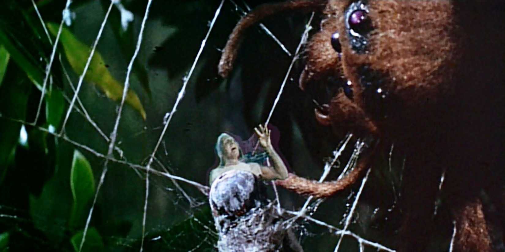 10 Horror Movie Endings That Are Almost Perfect