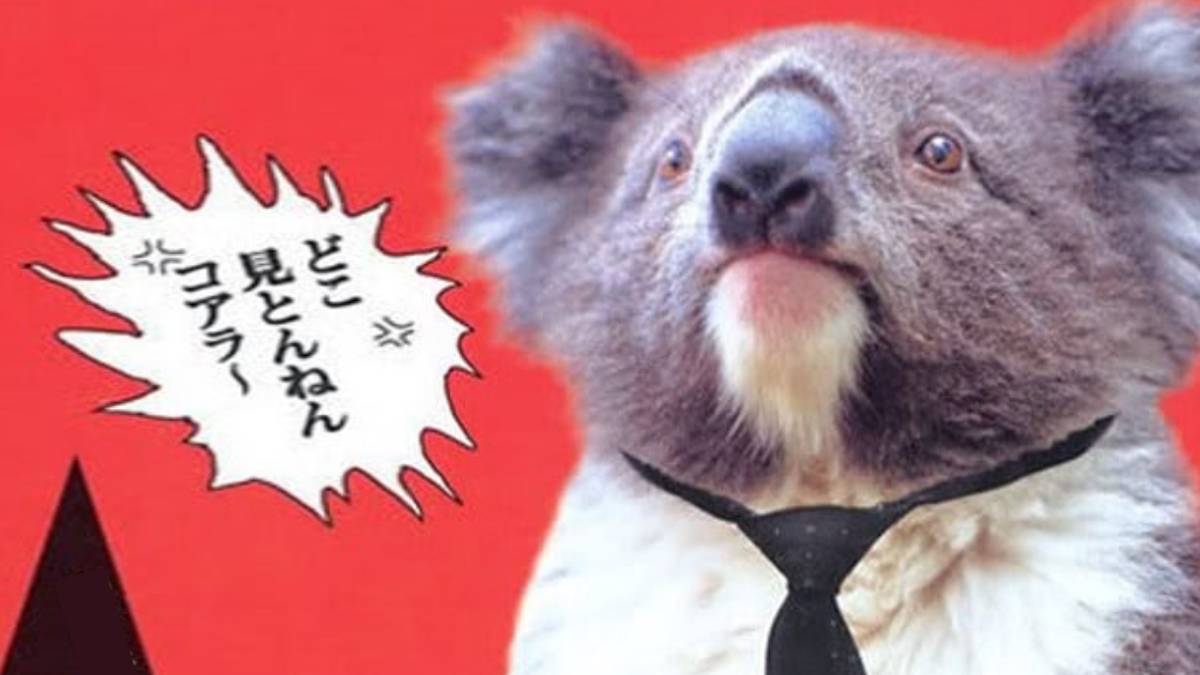 10 Best Movies You’ve Probably Never Seen, Ranked