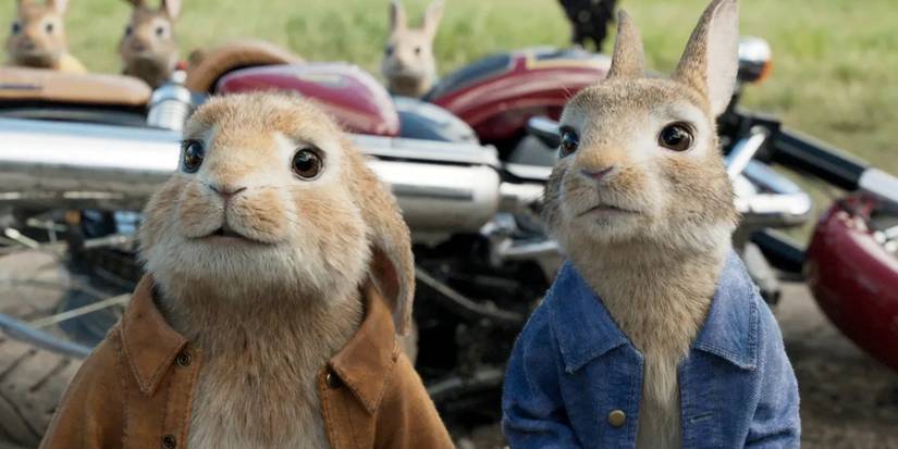 15 Best Elizabeth Debicki Movies, Ranked