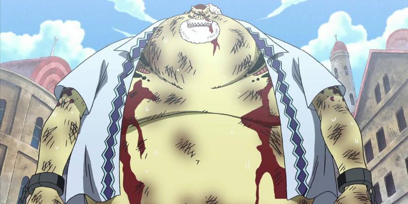 10 Best Straw Hat Pirate Mentors in 'One Piece,' Ranked