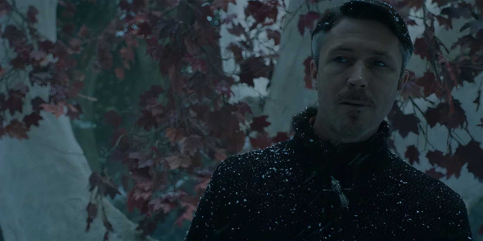 10 Best Littlefinger Quotes in 'Game of Thrones,' Ranked