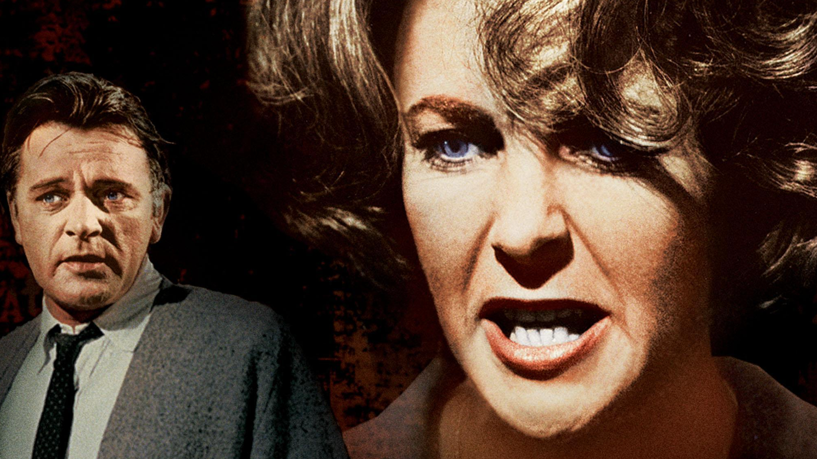 You’re Nearly 60 Years Late To Checking Out This Vicious Elizabeth Taylor and Richard Burton ...